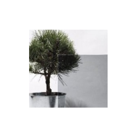 Glass (6mm) tinted parsol Gray